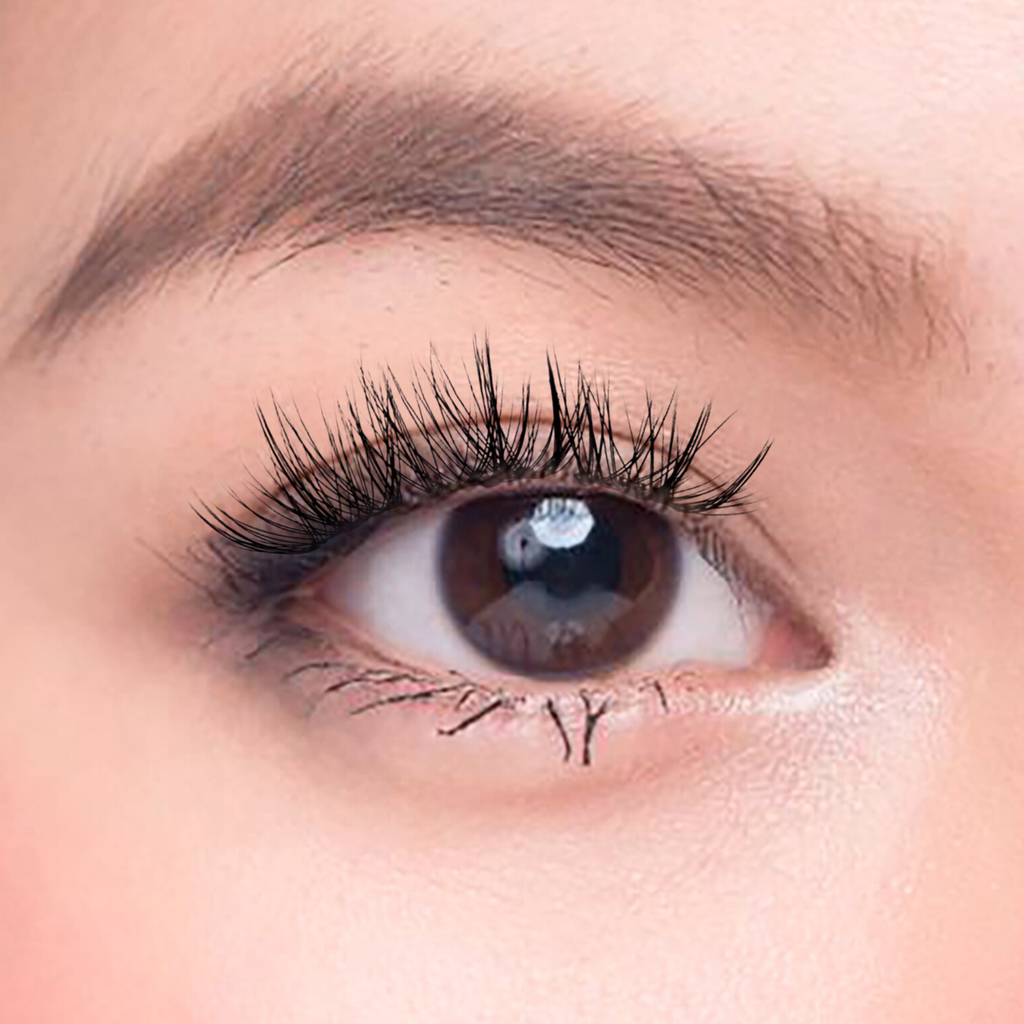 Char Cosmetics Dreamy Dozen Lash 24pcs – Oz Hair and Beauty