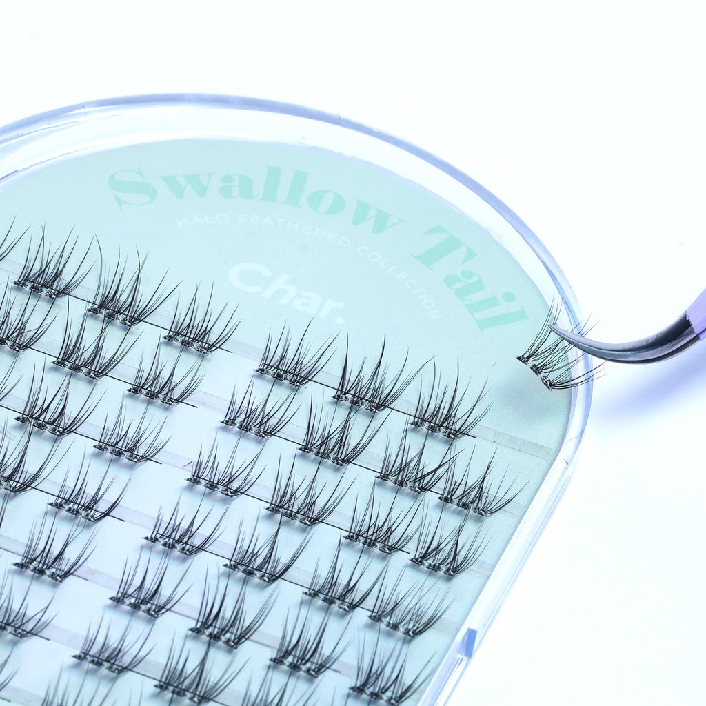 Char Cosmetics Swallow's Tail Cluster Lash 64pcs – Oz Hair and Beauty