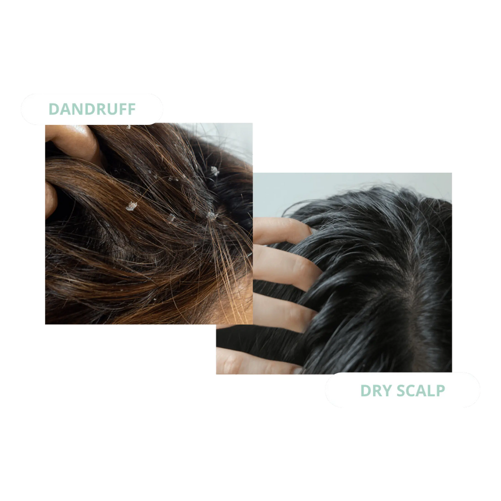 Pump Haircare Scalp Tonic 100ml – Oz Hair and Beauty